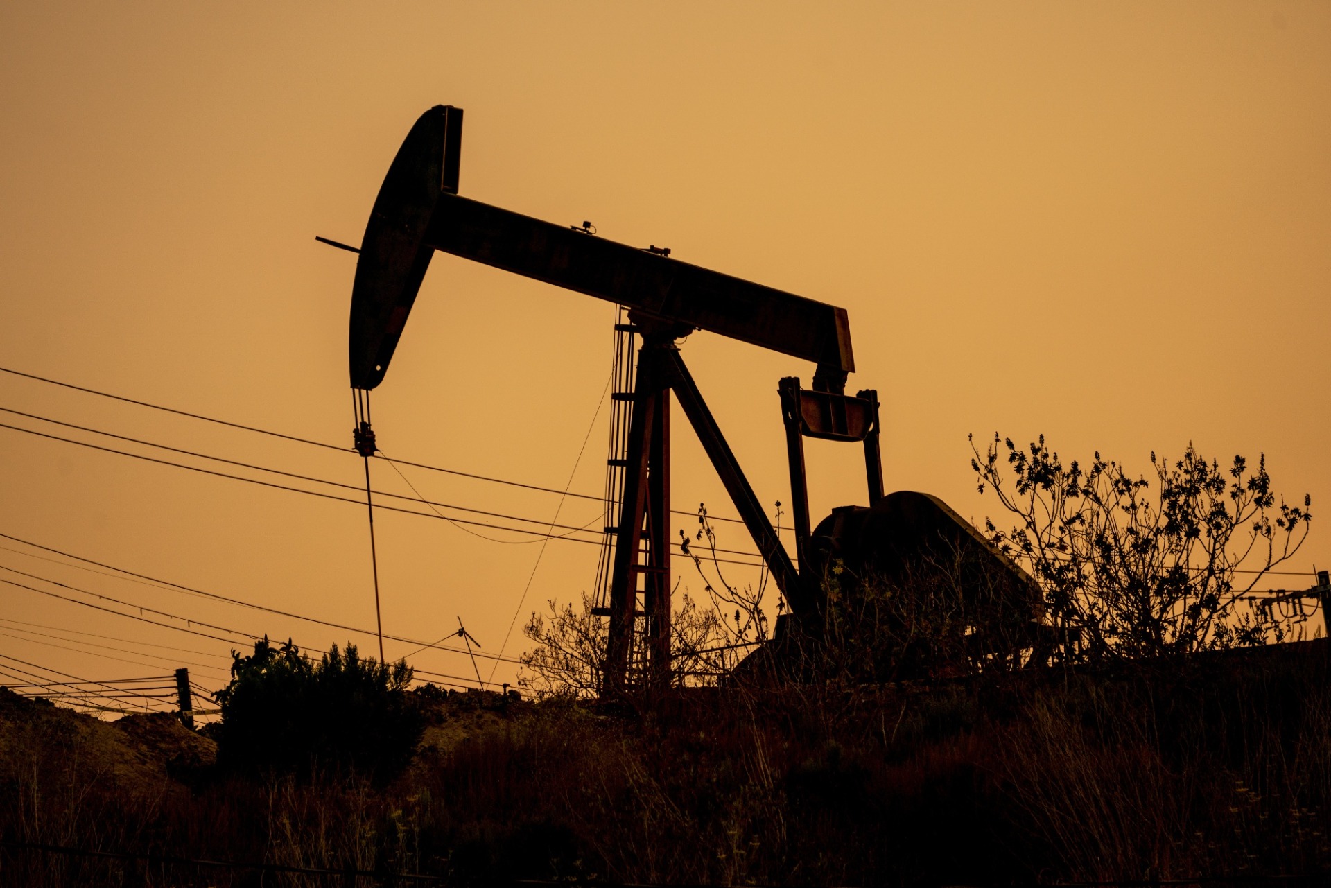 Crude Gains with Focus on US Growth and Fuel Stockpile